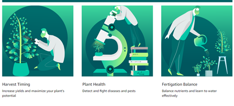 Hi Grade – Mobile Cannabis Testing Scope - FarawayLand Seed Bank